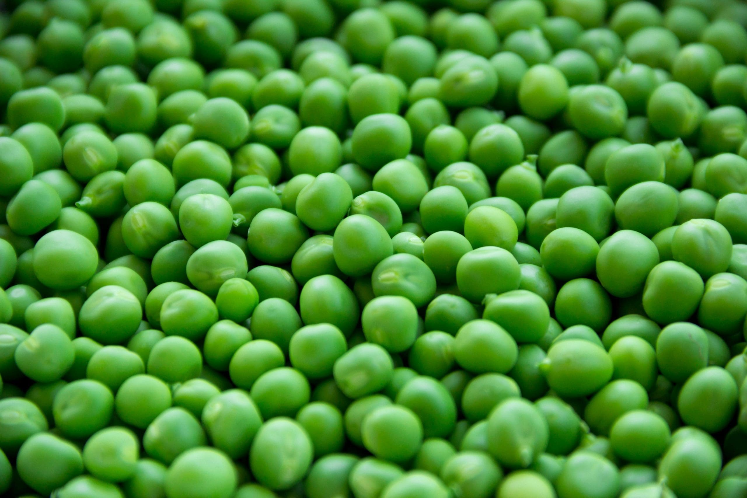 Peas - Jack Buck Farms